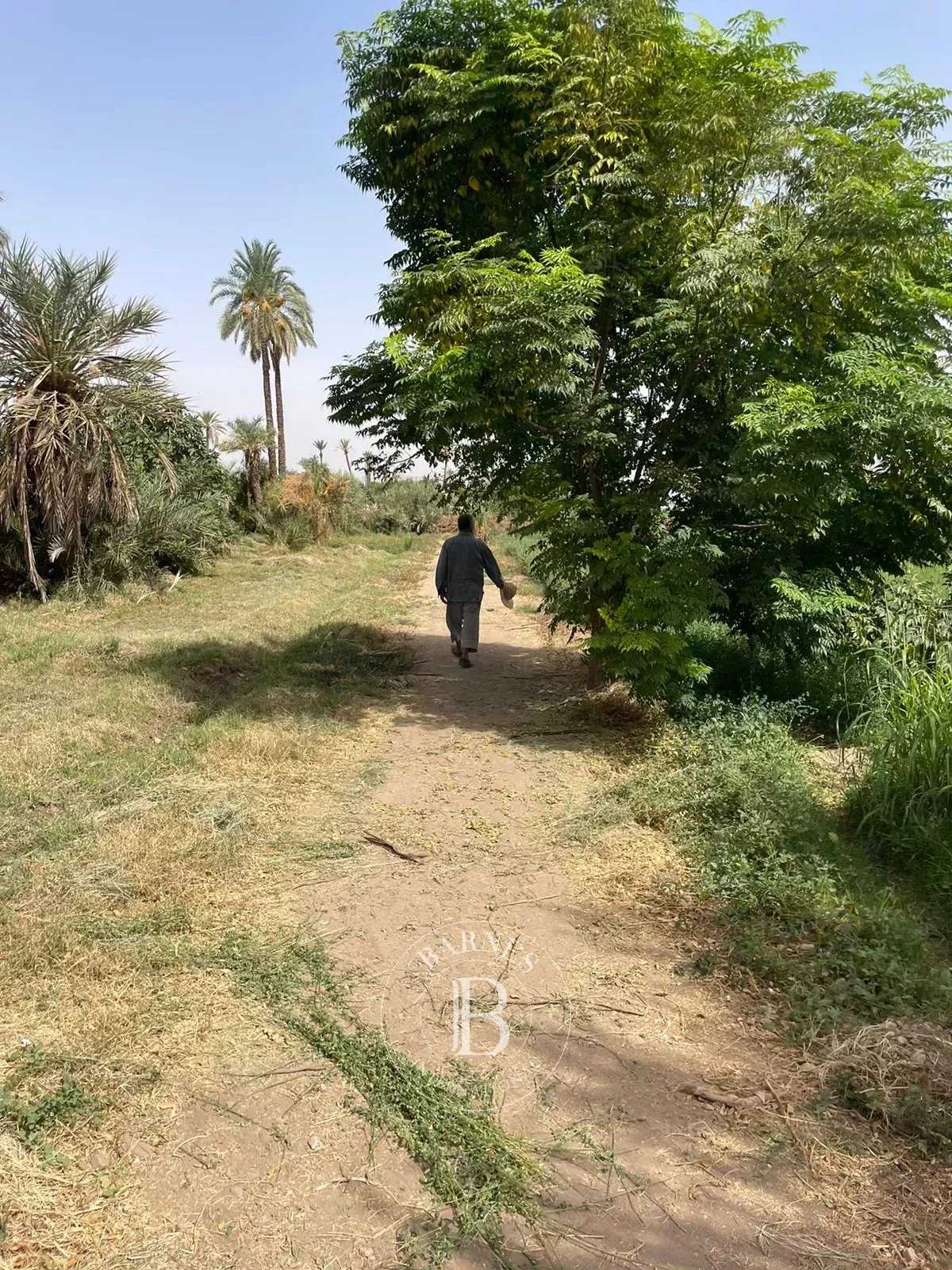 BARNES | Luxury Properties for sale - Marrakech, Morocco